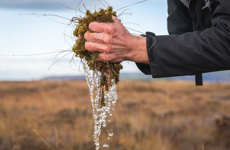 Natural Resources Wales / SoNaRR 2025: Soil