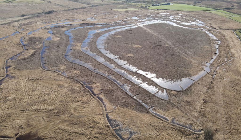 Natural Resources Wales / Major Welsh peatland restoration project ...